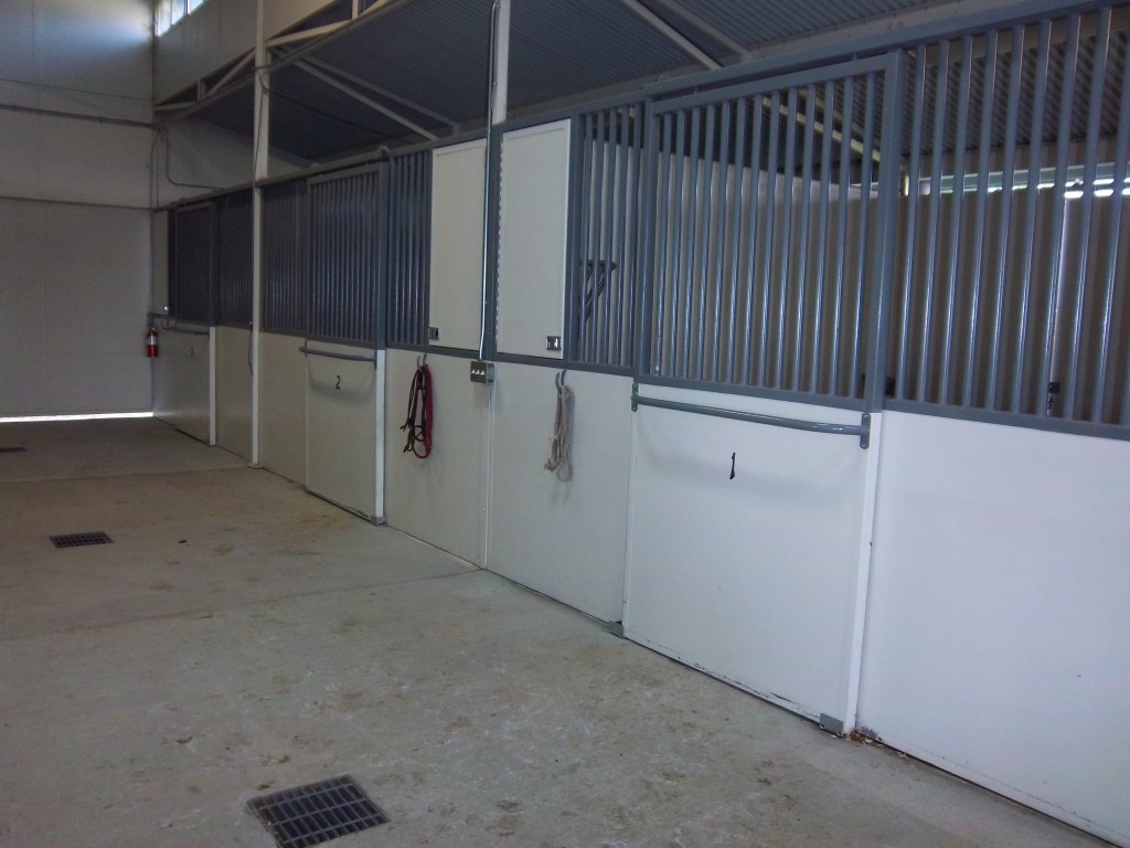 Services | Veterinary Associates, Inc